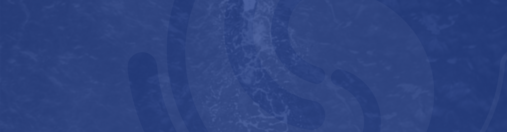 CapSys Group - News & Events